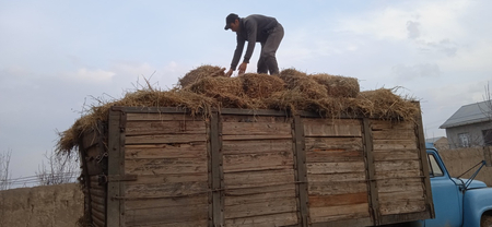 Хас сотамиз брци урок