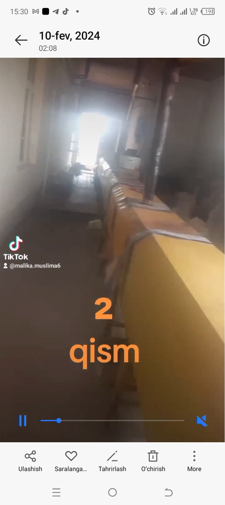 Pechoni aparat bor