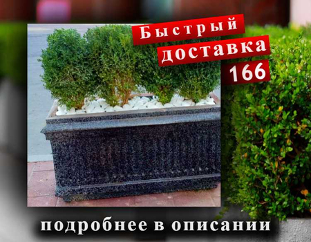 вазон из бетона, кашпо, горшки из бетонаб, вазон