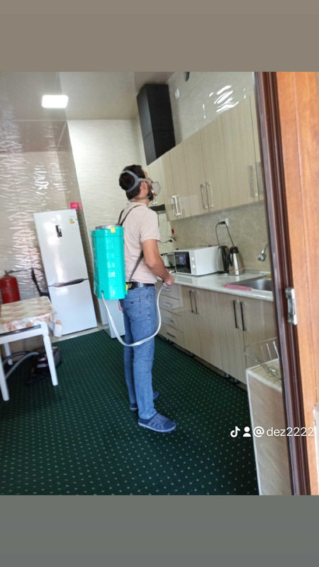 Сичкон ва каламуш тозалаш хизмати