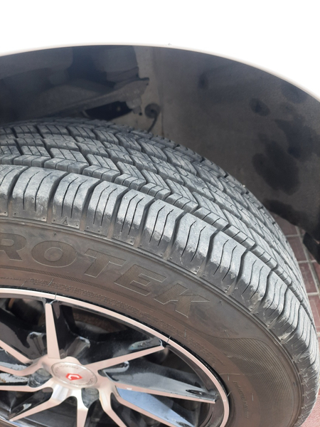 Vossen 14 saka deska zerrotek zor baloni bilan