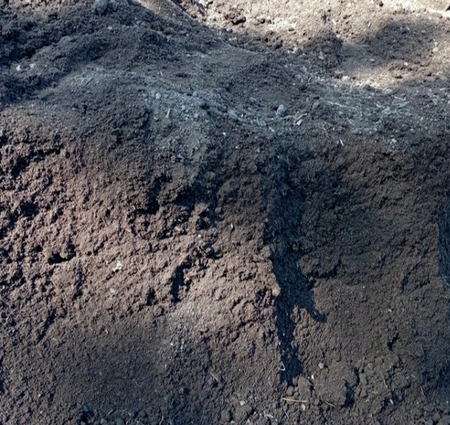 Biogums, Биогумс