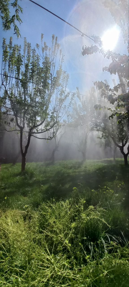 Mikroklimat va setka