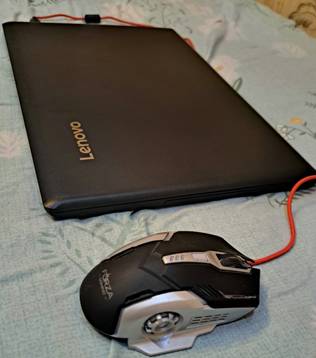 lenovo ideapad 110-15ibr