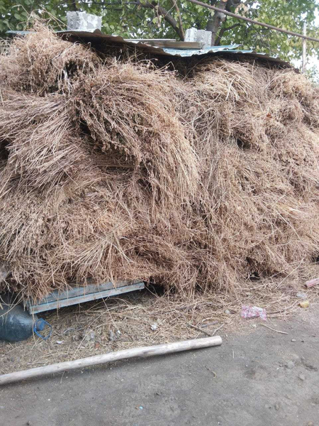 Beda bog\\\'i sotiladi