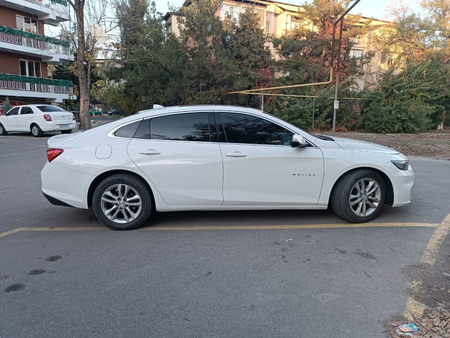 Malibu 2 oq 2018