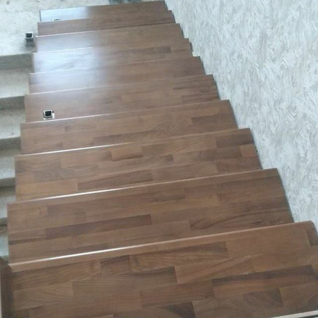 Леснитсия из дерева