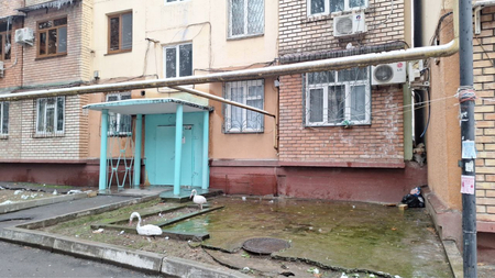 Продам Евро Квартира Чил-6кв Карзинка