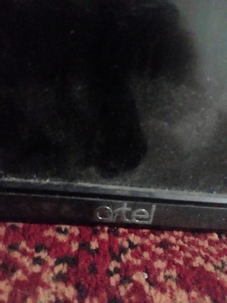 Artel televizor sotiladi