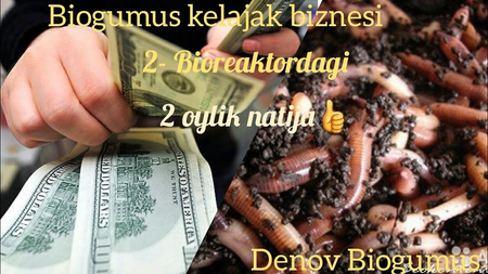 Продается Калифорнийский черви и биогомус