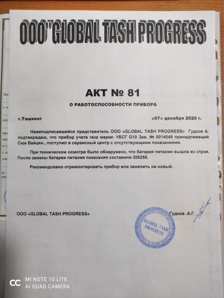 Газовый счетчик