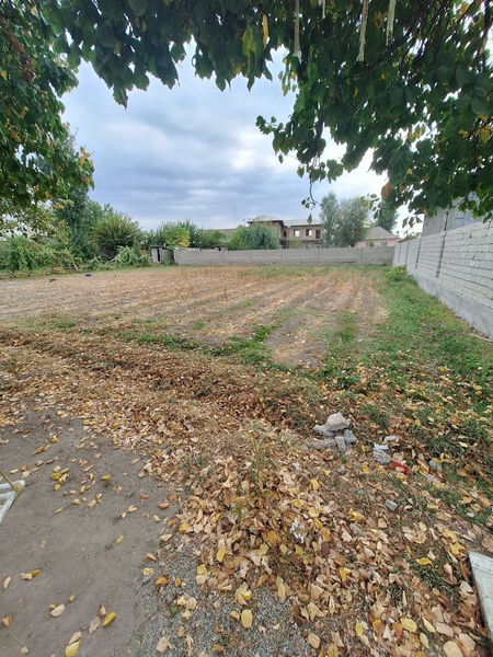 Srochna pul kerak