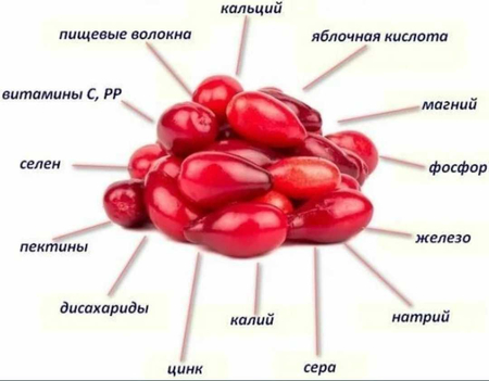 Заморозка Кизил 2024