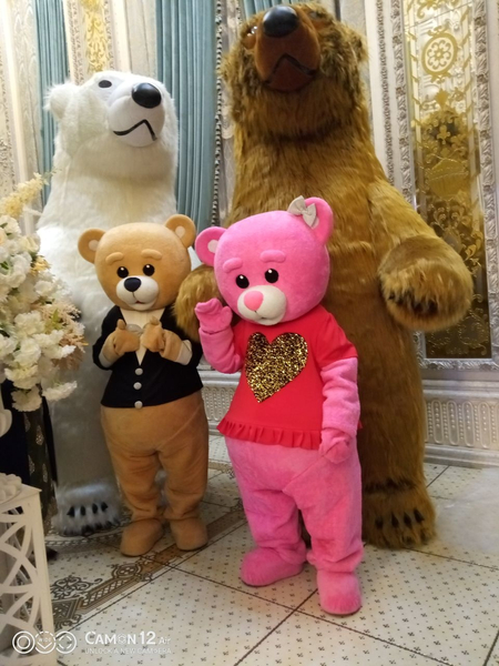 Ayiq мишка тедди teddi