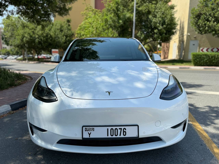 tesla.y radnoy 100%