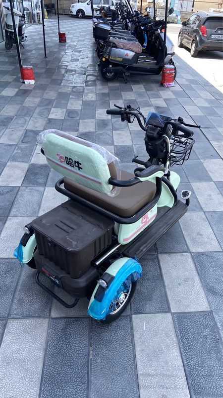 Qiumotors | Model N8