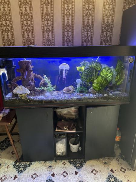 Akvarium zakaznoy Б/у