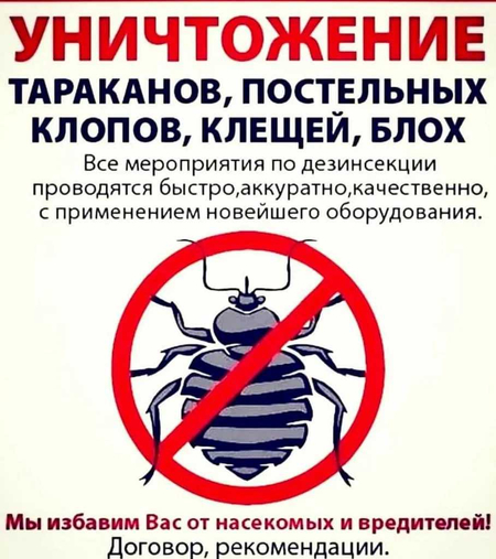 Проводим дезинсекцию тараканов, блох, клопов, комаров, мух и др