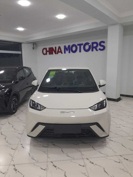 byd seagull nalichida bor