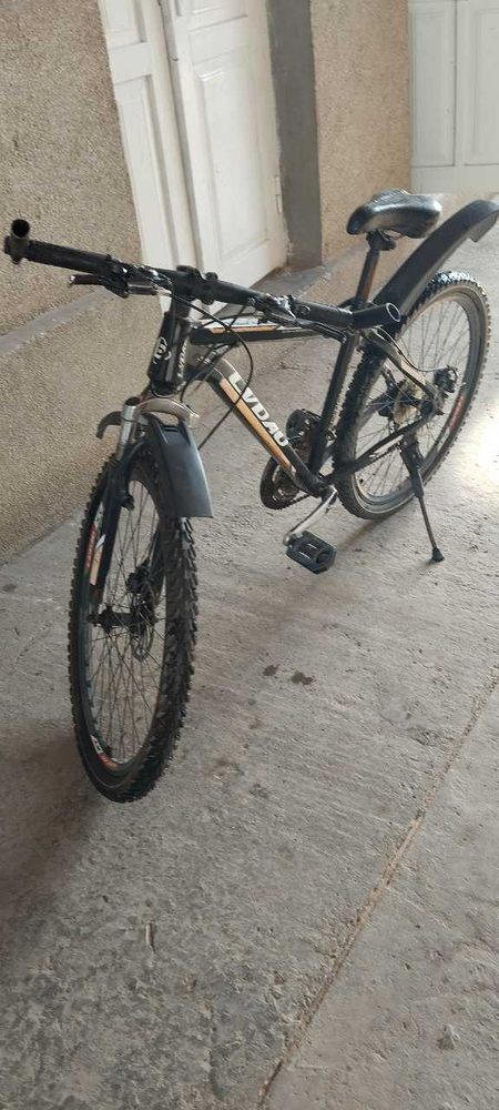 Velosiped skosrlik