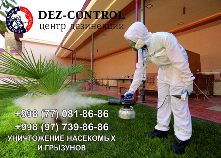 Дезинфекция в Ташкенте