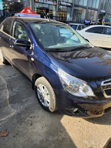 Kobilt yangi 2024