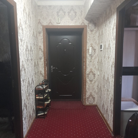 Sergili, Yangi xayot 5a