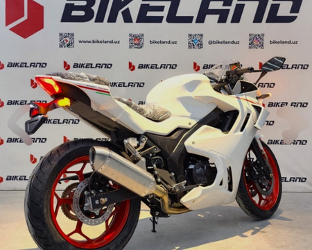 Bikeland “PANIGALE” Stage-3 (ABS)