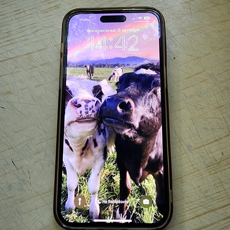 iphone 14 pro max 128gb