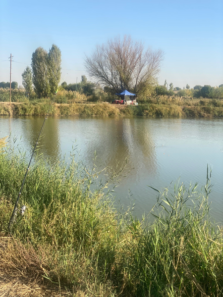 Рыбалка, проточная вода.