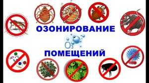 Dezinfeksiya | dizinfeksiya | дезинфекция | дизинфекция | klapa | PP-3