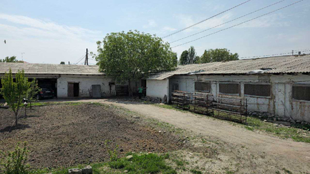 Продается ферма под готовый бизнес (откорм животных, птицеводство)
