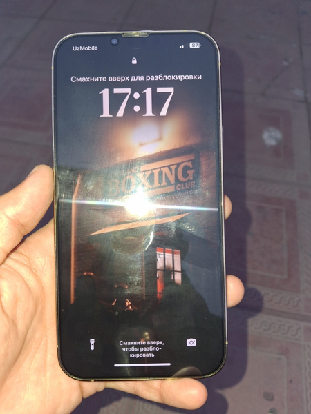 Iphne 13 pro max