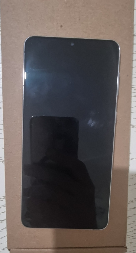 Samsung galaxy S21+ Dous