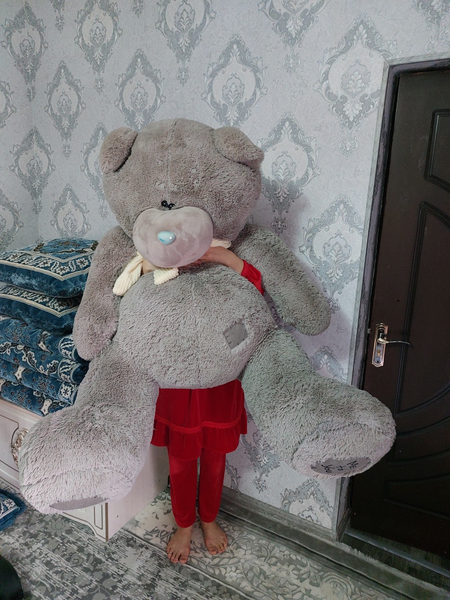 Teddy ayiq sotiladi