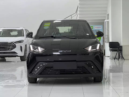 BYD Seagull halol nasiya savdoga qulay narxlarda