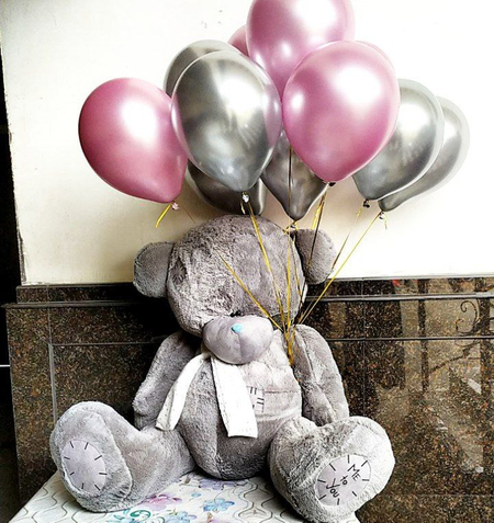Teddy va panda va boshqa yumshoq oʻyinchoqlar