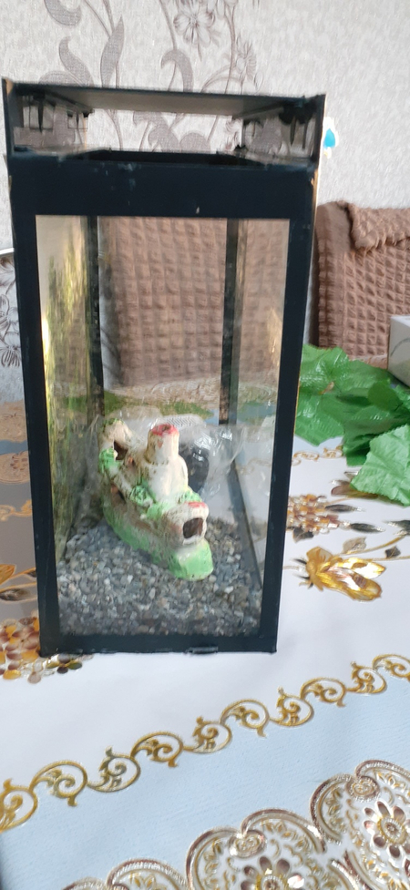 Аквариум сотилади янги