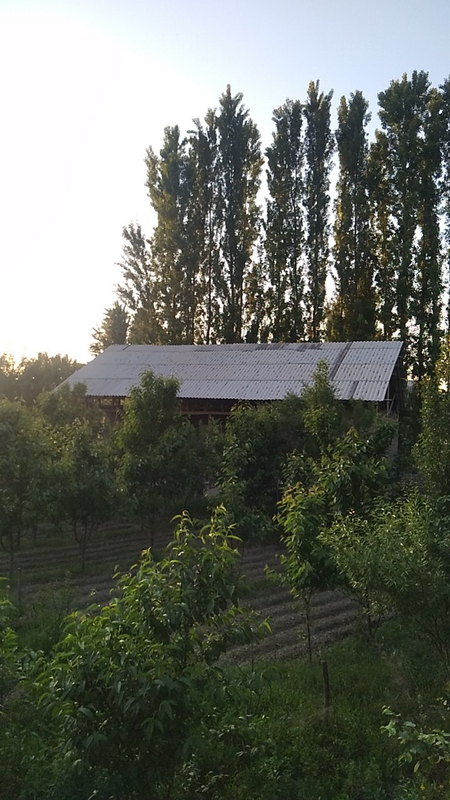 7-сотик 3 хонали ховли