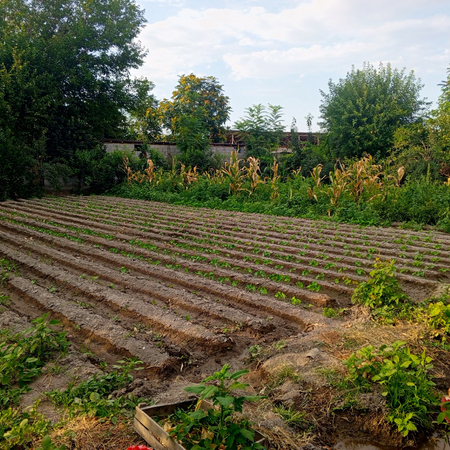 Fargona shaxar yormozor terakzor kochasi