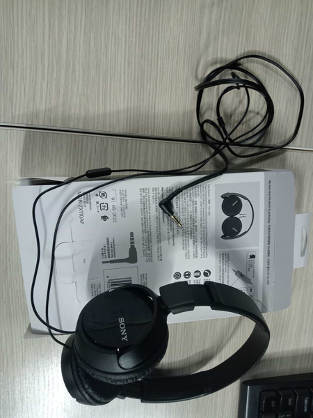 SONY MDR ZH110AP naushnik