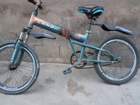 Velosepet 20 razmer rangi yashil