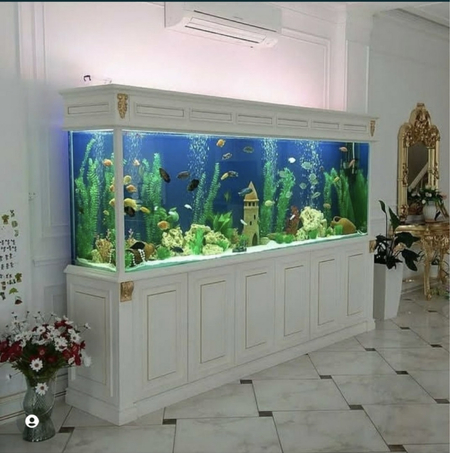 Akvarium Zakasga yasab beramiza