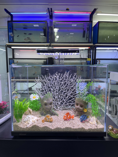 Akvarium va baliq Do’Koni