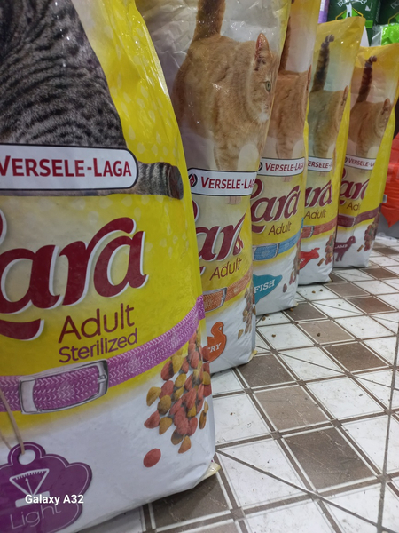 Versele Laga (Lara)