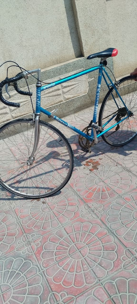 Velosiped gonchik