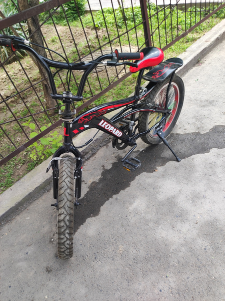Velosepid 800.000  ko'p minilmagan