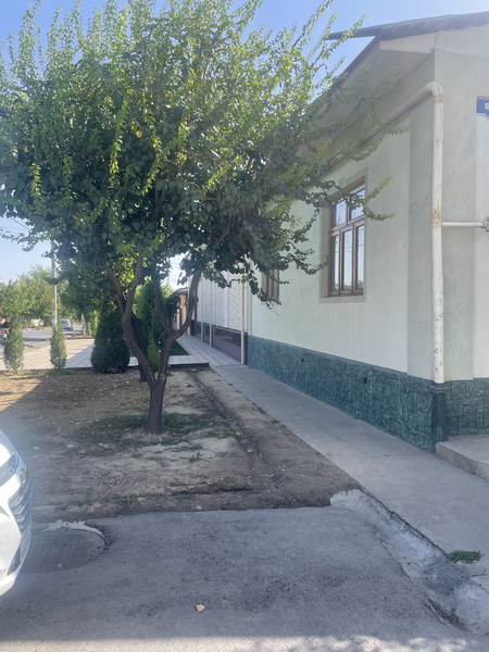 Shofayizda hovli 3 sotuk