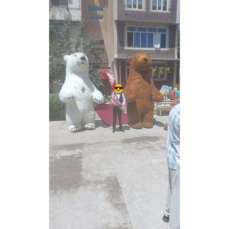 Ayiq ayiqlar teddy oformleniya