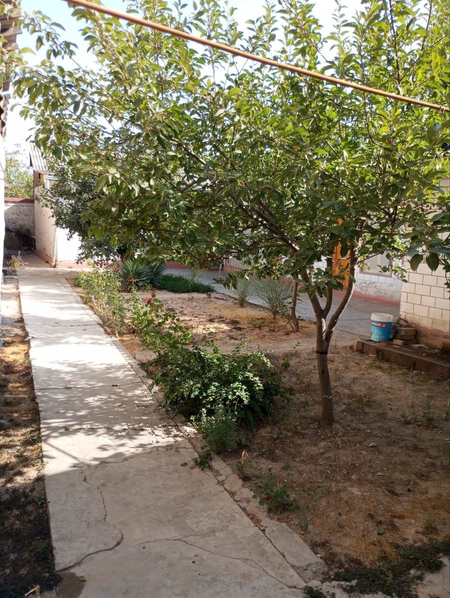 Uchaska yaxshi narxda Yashnobod tumani